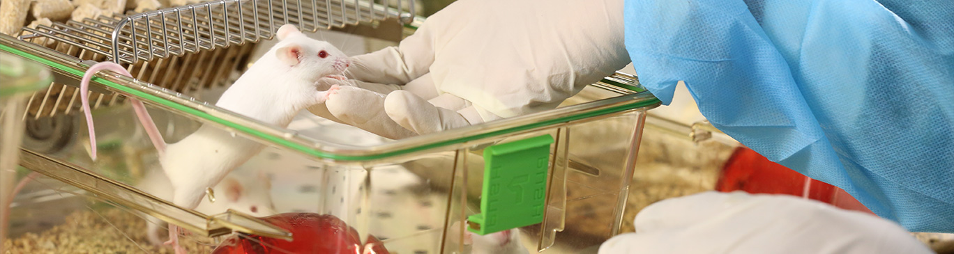 Laboratory Animal Research Center | Qatar University